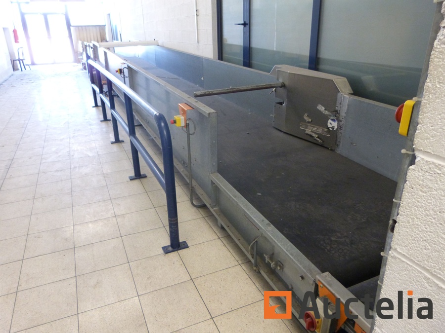 Conveyor Belt + Luggage Load Cells - Handling & Storage - auctelia.com